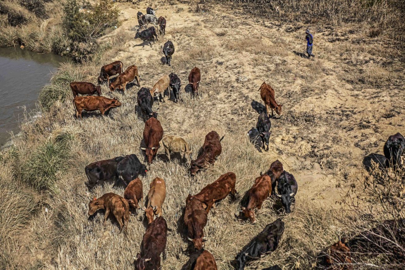 Khomo e Kopanya Lichaba - PhotoForm Africa