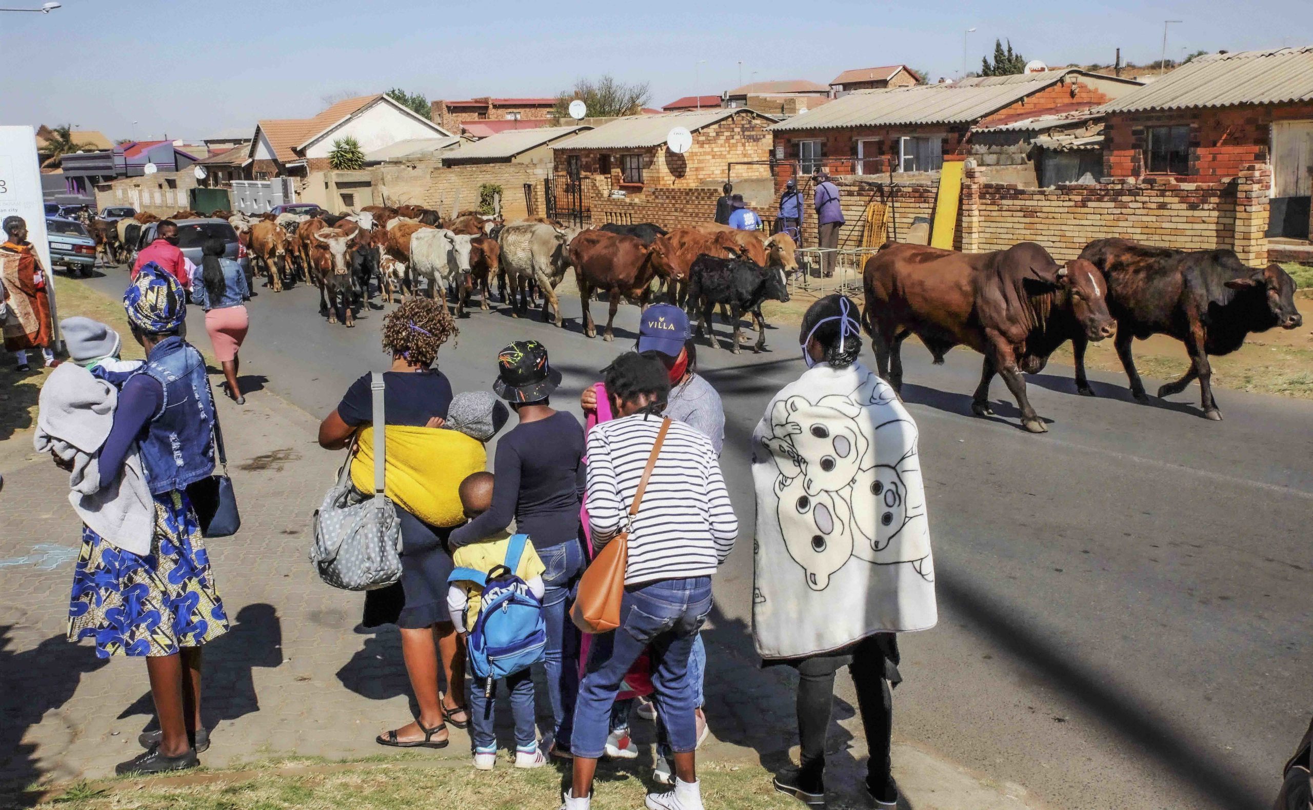 KHOMO E KOPANYA LICHABA - PhotoForm Africa